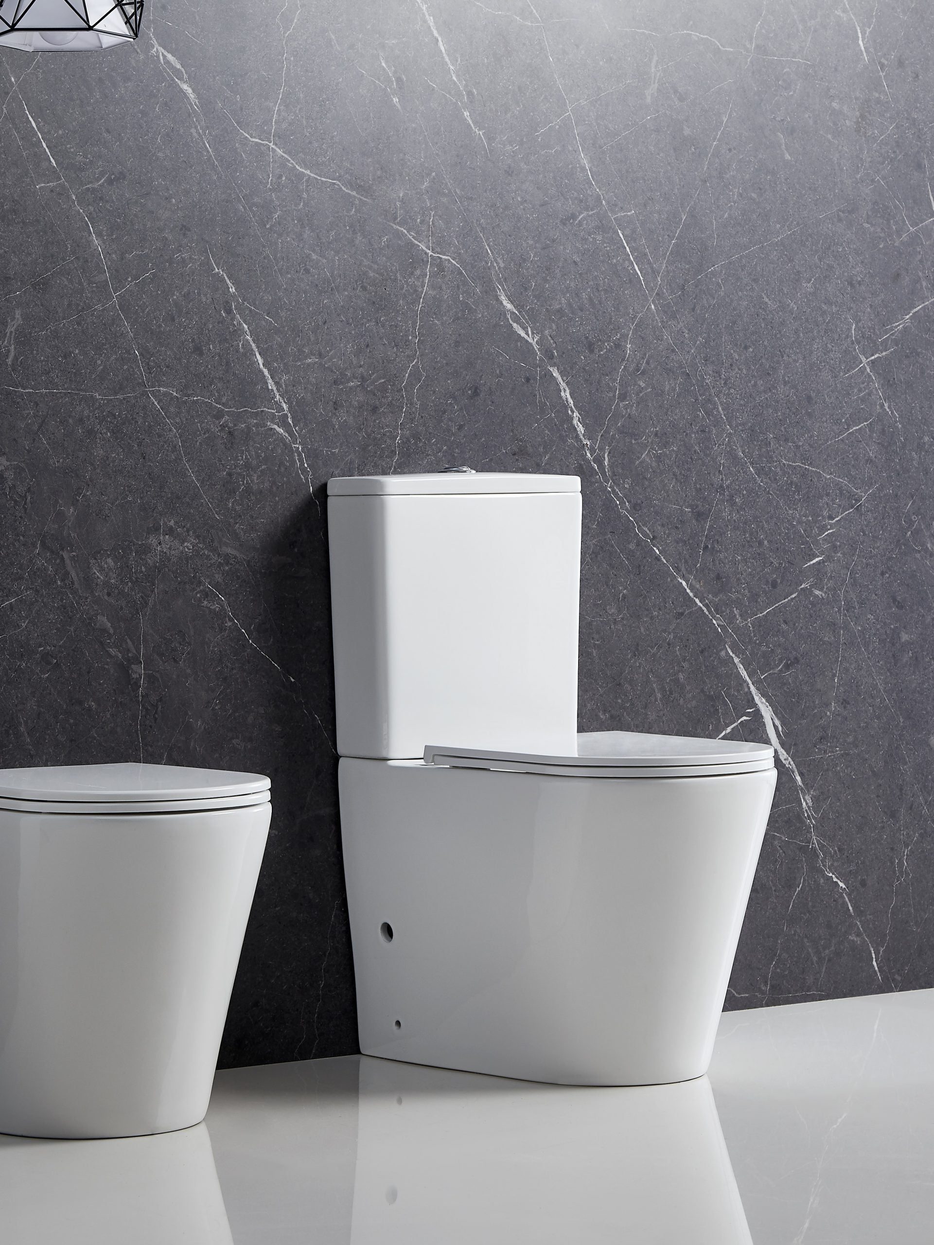 Pani Wall-Faced Toilet - Matte White – BCP Interiors